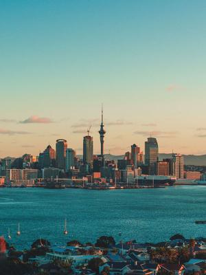 Timeline Module | Drupal Next Accelerator